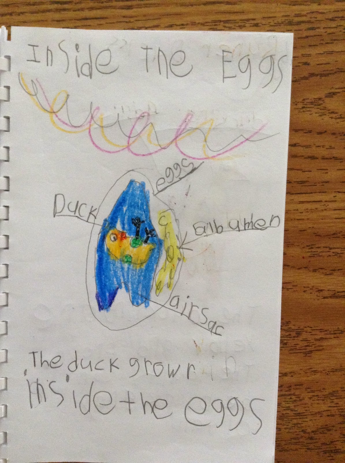 Mrs. Black's Kindergarten Class